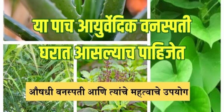 औषधी वनस्पती आणि त्यांचे उपयोग l 5 Ayurvedic Plants Information in ...