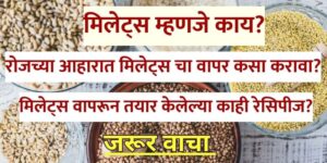 मिलेट्स म्हणजे काय?l What is MILLETS in Marathi - Lekhak Mitra